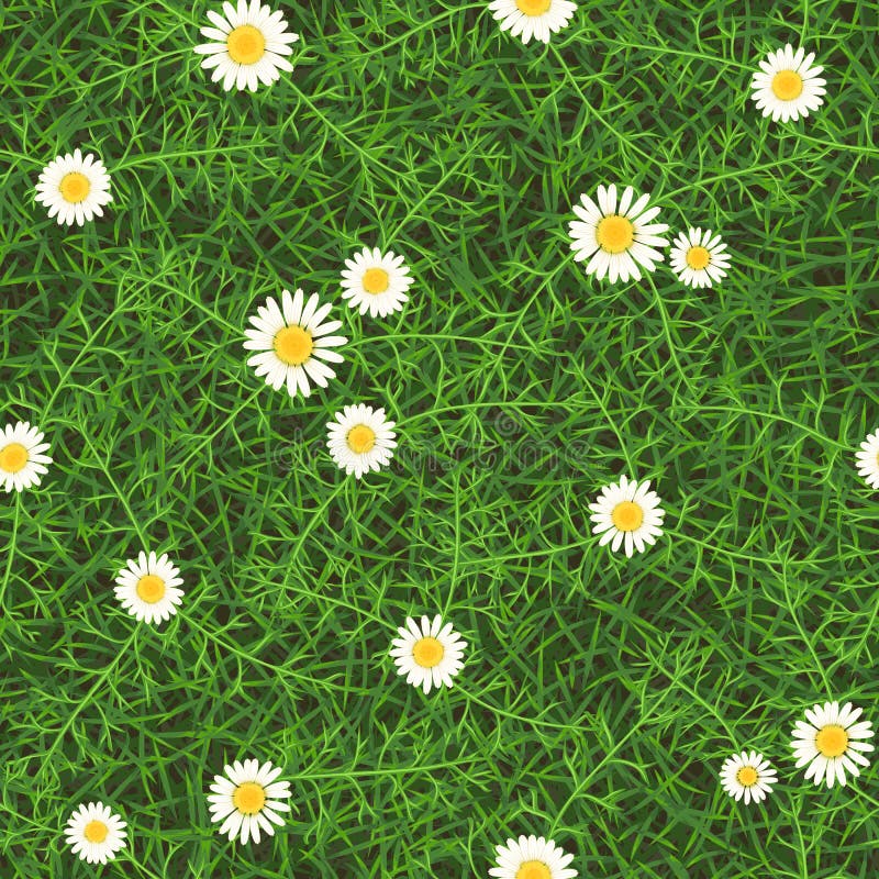 Seamless Vector Texture of Green Meadow Grass with Daisies Stock Vector ...