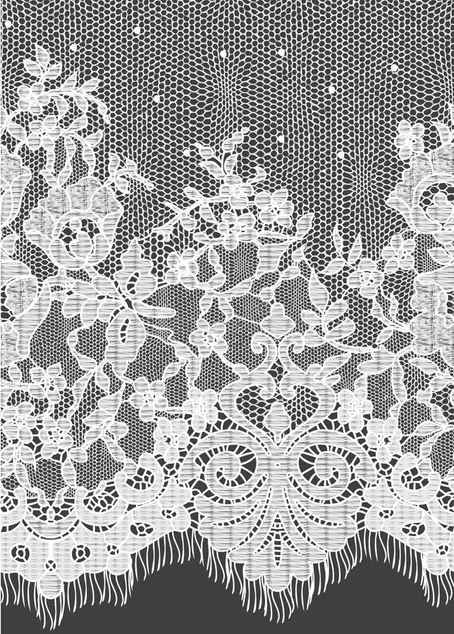 Seamless Vector White Lace Pattern Stock Vector - Illustration of drawn ...
