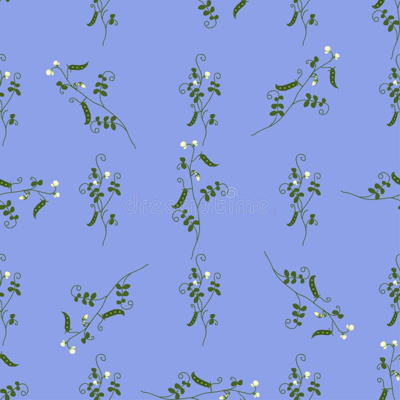 Seamless Vertical Floral Pattern with Pea Stock Vector - Illustration ...