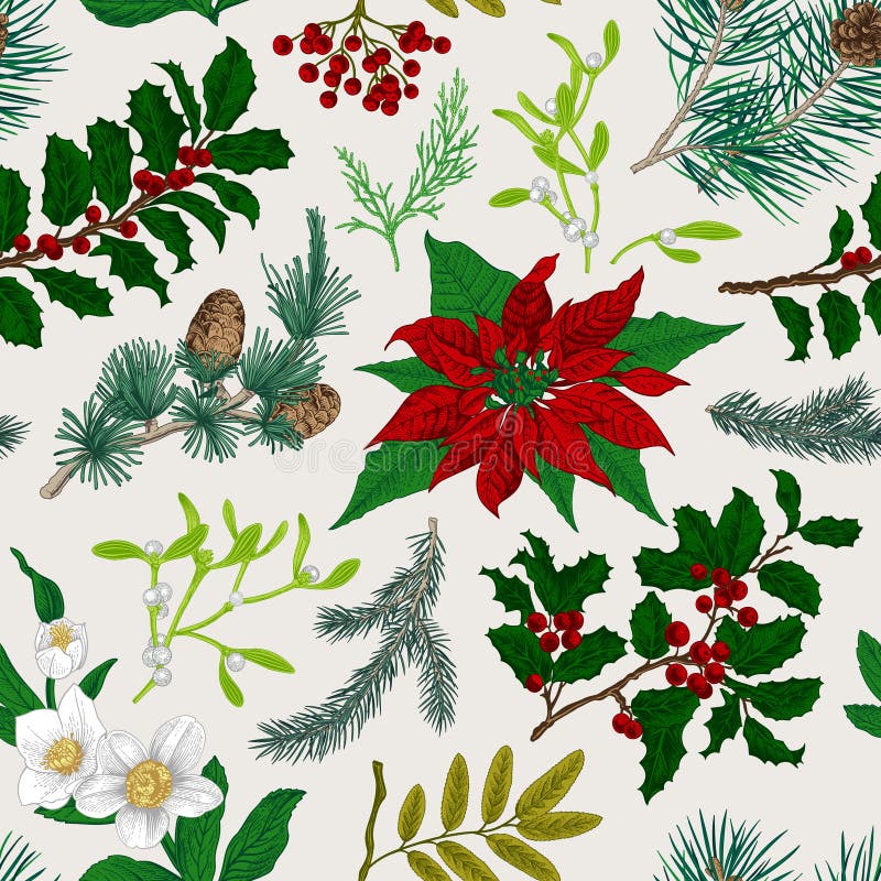 Christmas Botanical Seamless Pattern. Hand Drawn Vector Stock Vector ...