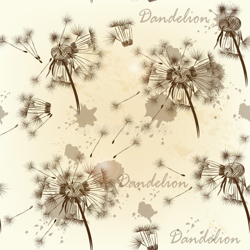 Dandelion symbol stock vector. Illustration of botany - 41683599