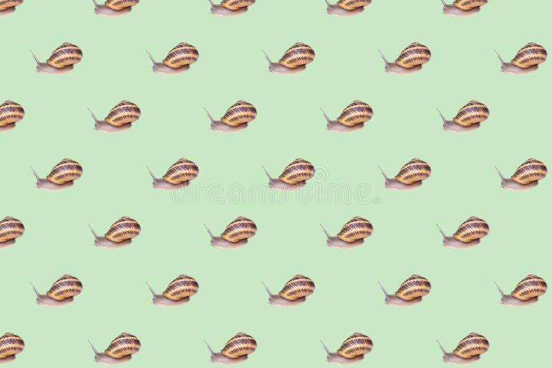 Seamless Wallpaper Pattern with Garden Brown Snails Stock Photo - Image ...