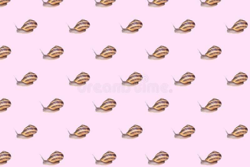 Seamless Wallpaper Pattern with Garden Brown Snails Stock Image - Image ...