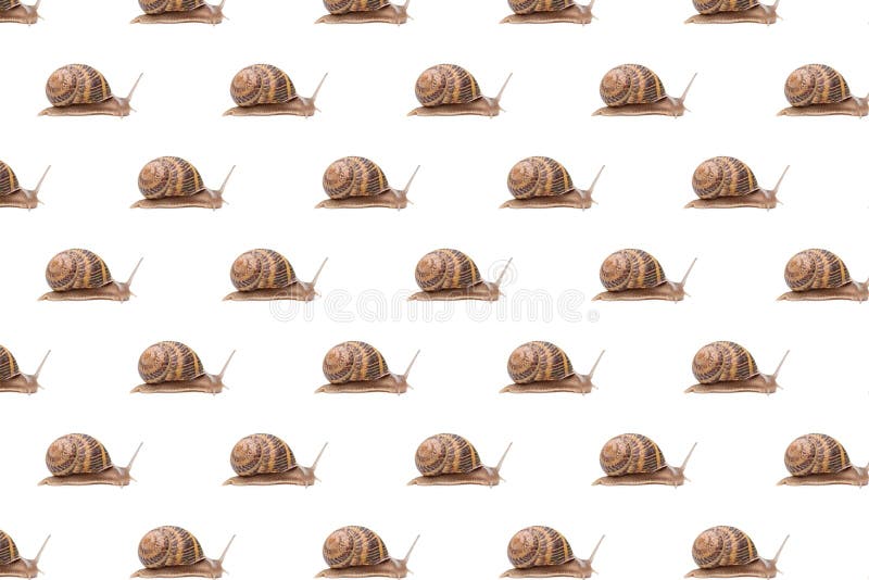 Seamless Wallpaper Pattern with Garden Brown Snails Stock Photo - Image ...