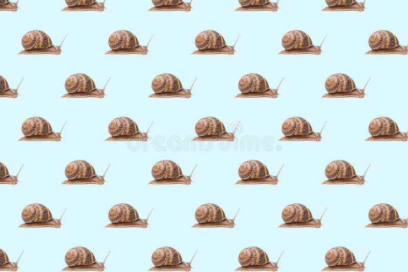 Seamless Wallpaper Pattern with Garden Brown Snails Stock Image - Image ...