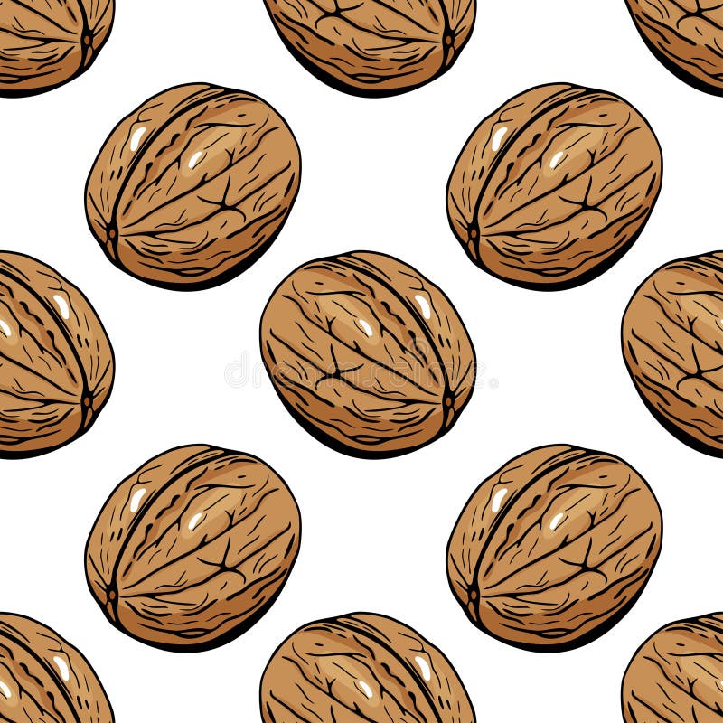 Seamless Walnut Pattern in Hand Drawn Vector Cartoon Style Stock ...