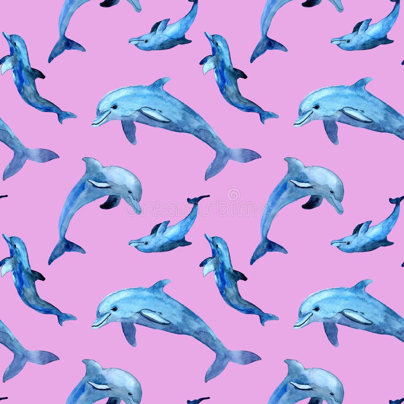 Dolphins Watercolor Hand Drawing Stock Illustrations – 77 Dolphins ...
