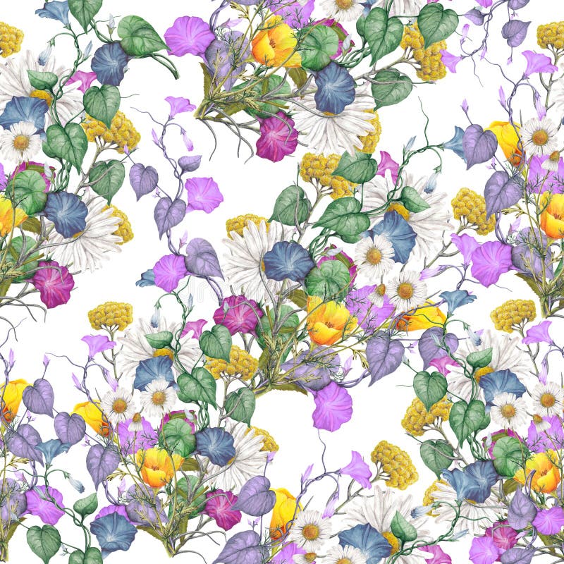 Watercolor Seamless Pattern Stock Illustration - Illustration of flora ...