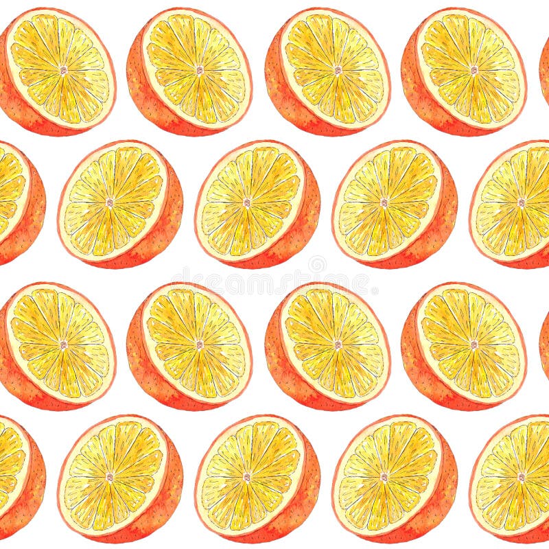 Half of Oranges stock illustration. Illustration of nature - 93206699