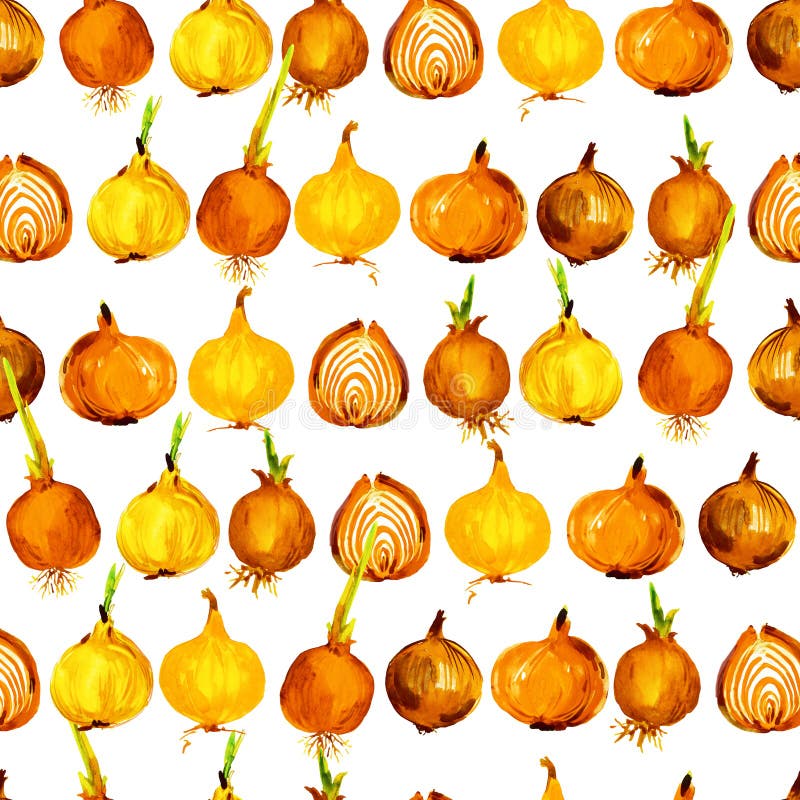 Seamless Watercolor Pattern of Onions. Perfect for Culinary Packaging ...