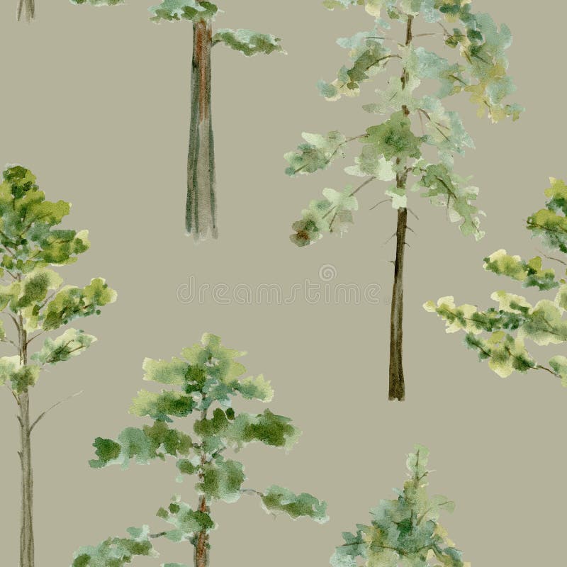 Seamless Watercolor Pattern with Pine Trees in Forest Stock Photo ...