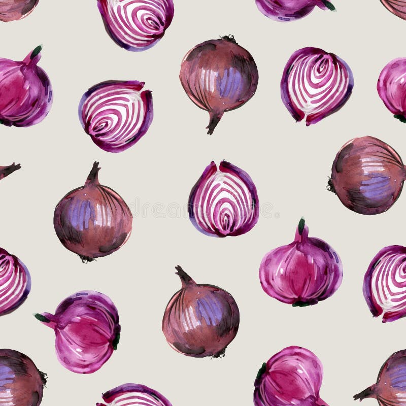 Seamless Watercolor Pattern of Red Onions. Perfect for Culinary ...