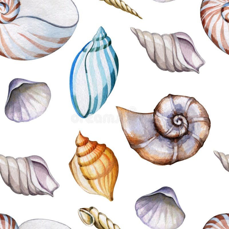 Magic Seashells Stock Illustrations – 264 Magic Seashells Stock ...