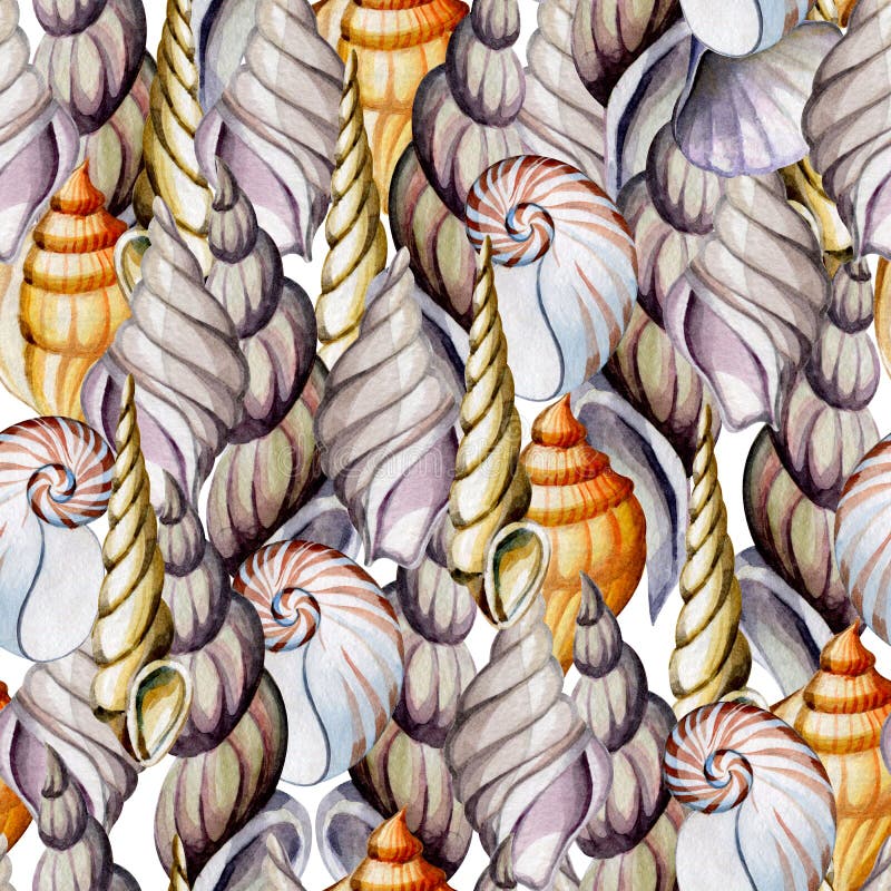 Magic Seashells Stock Illustrations – 264 Magic Seashells Stock ...