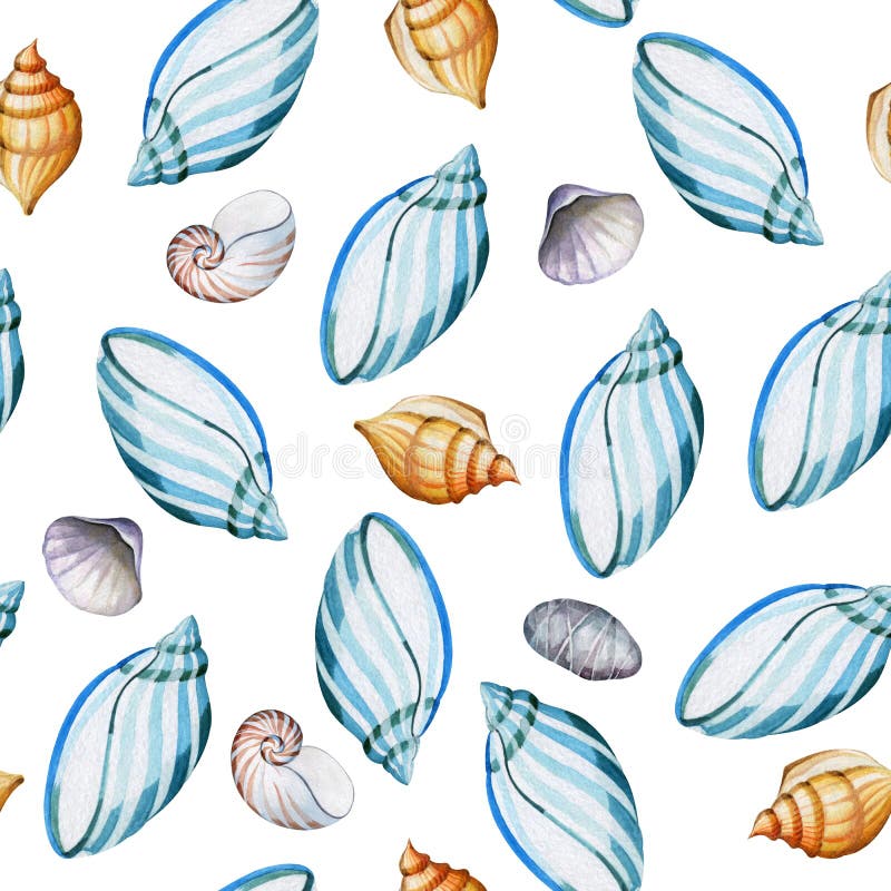 Magic Seashells Stock Illustrations – 264 Magic Seashells Stock ...