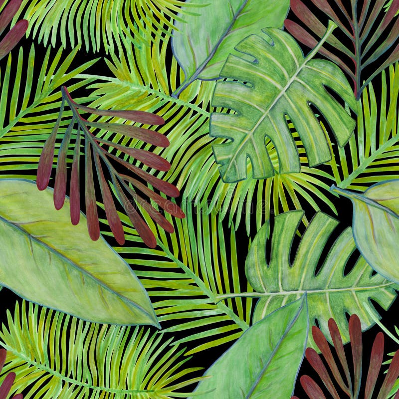 Seamless Watercolor Pattern with Tropical Tree Leaves. Stock ...