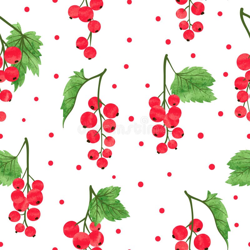 Seamless Watercolor Red Currant Pattern. Stock Vector - Illustration of ...