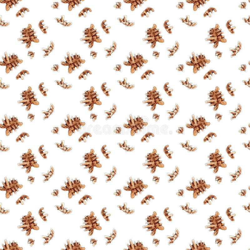Seamless Watercolor Walnuts Pattern Design Stock Illustration ...