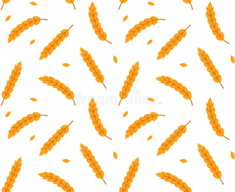 Seamless wheat pattern stock vector. Illustration of element - 252747836