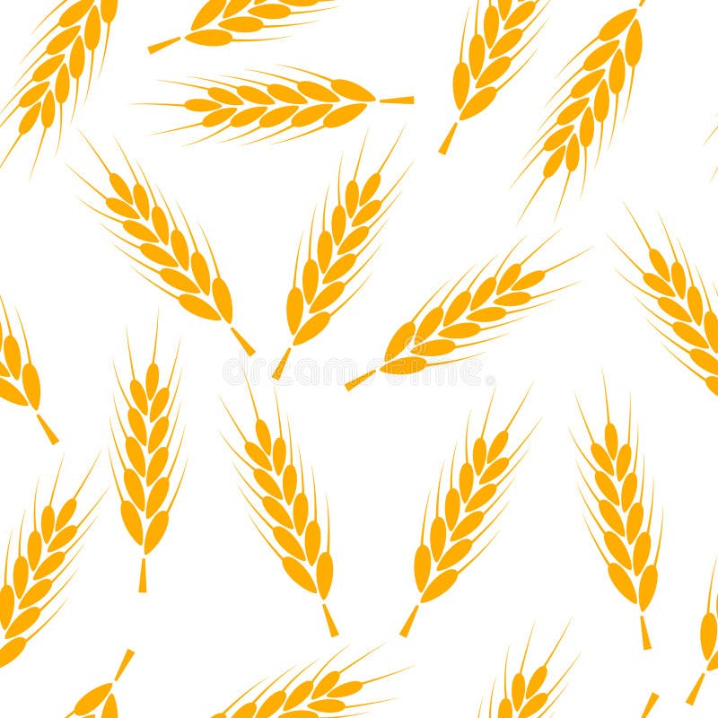 Seamless Wheat Pattern Vector Background. Wheat Bread Harvest Cereal ...