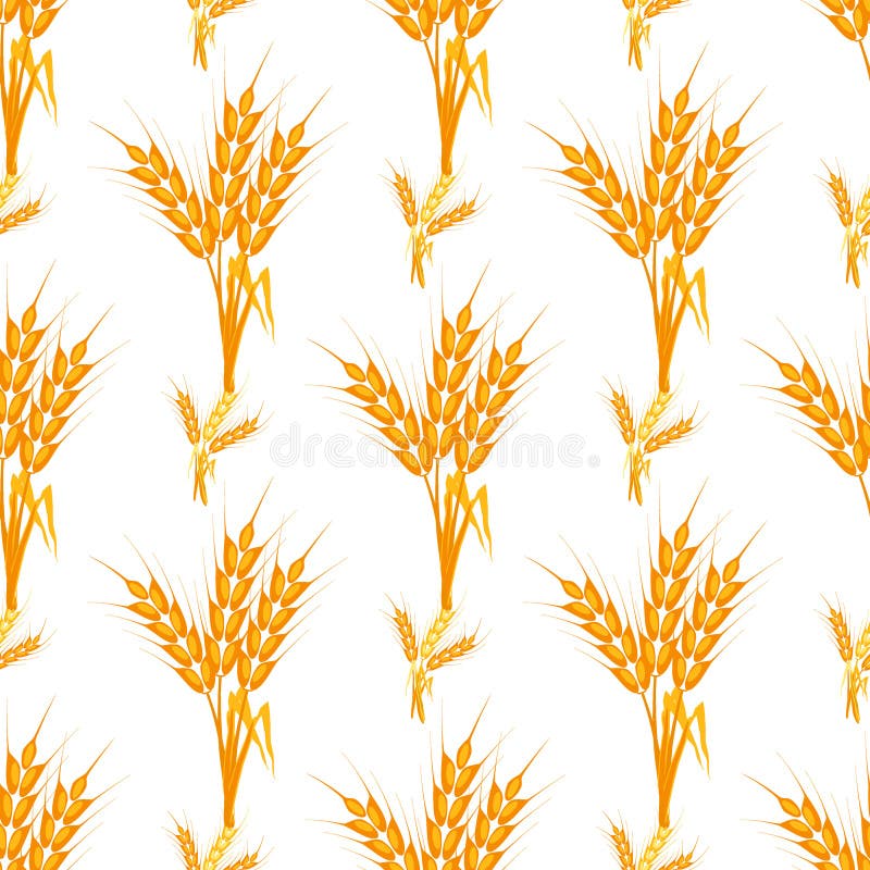 Seamless Wheat Pattern Vector Illustration Stock Vector - Illustration ...