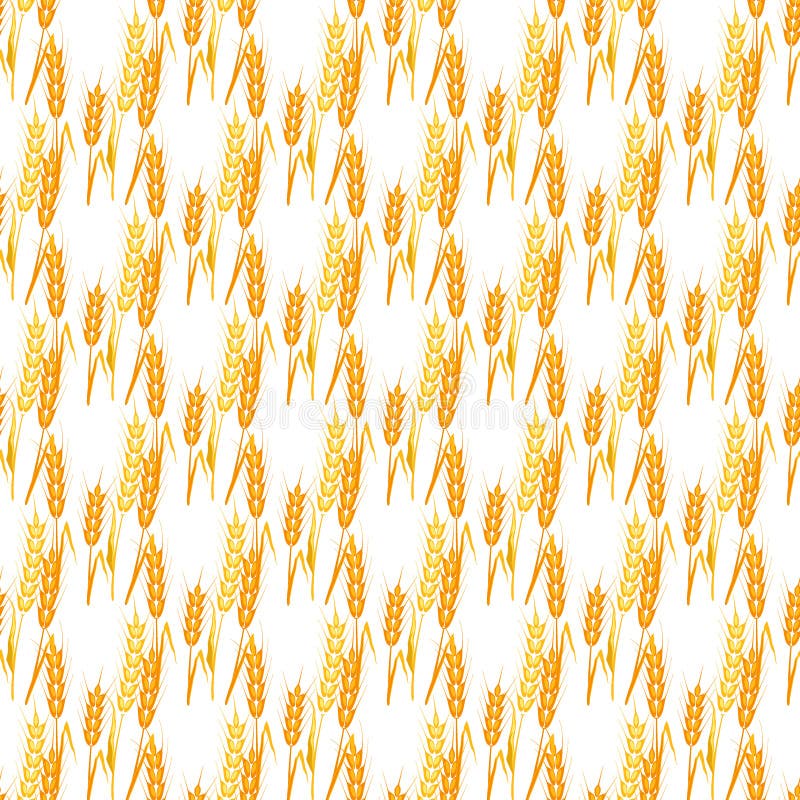 Seamless Wheat Pattern Vector Illustration Stock Vector - Illustration ...