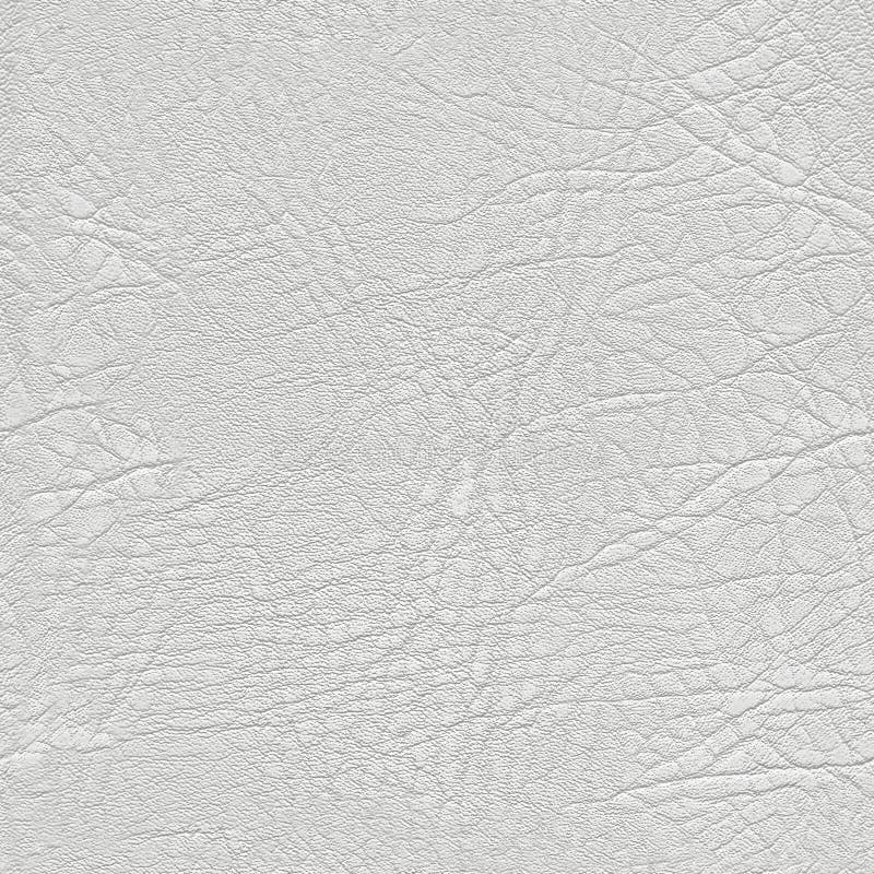 Seamless White Leather Texture for Background Stock Illustration ...