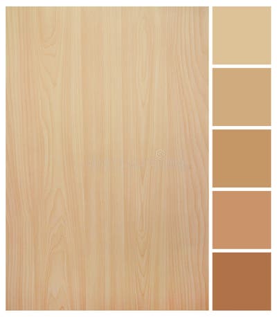 Seamless Wood Texture with Colored Palette Guide Stock Photo - Image of ...