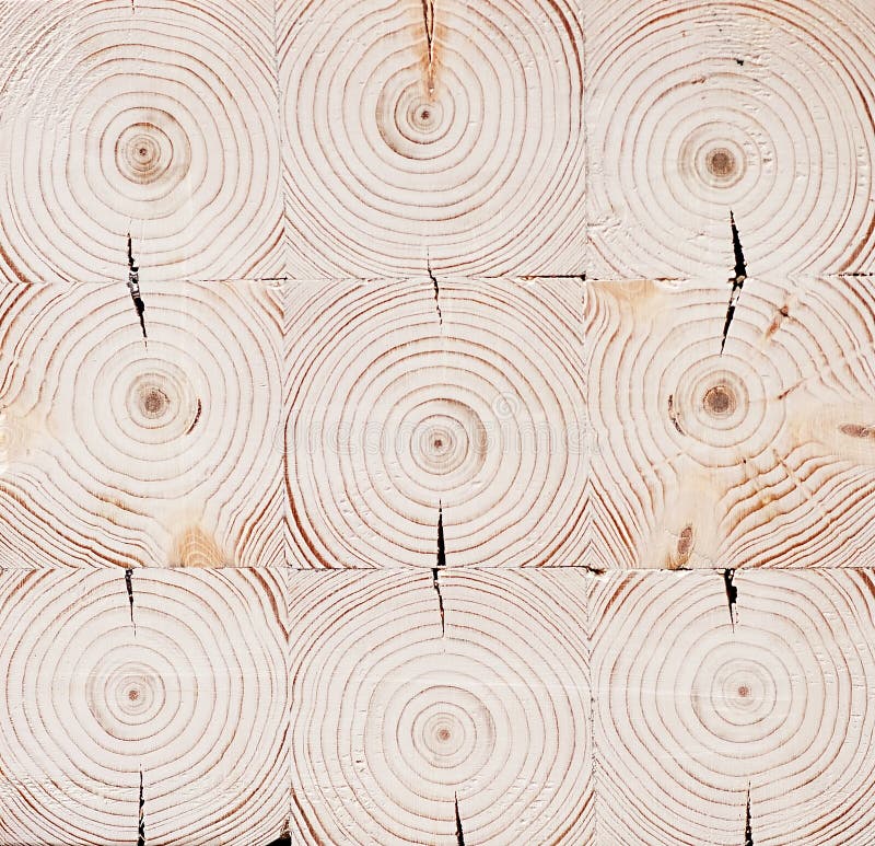 Seamless Wooden Round Pattern. Sawed Wood Stock Photo - Image of ...
