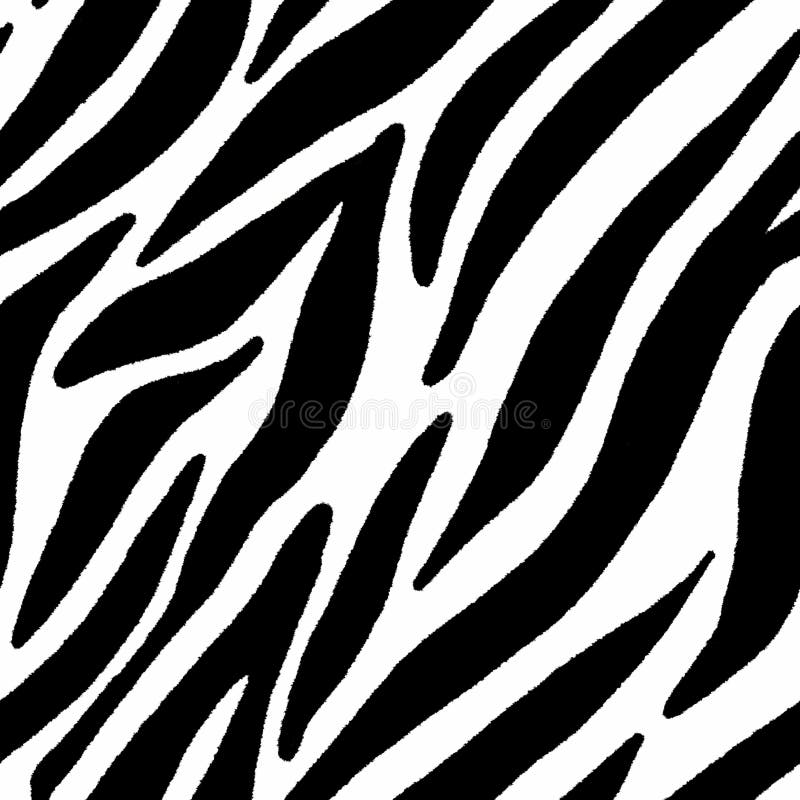 Zebra Zebra on White Portrait of a Zebra Amazing Illustration. Stock ...