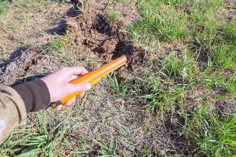 Search in the Ground for an Ancient Artifact, Using a Pinpointer To ...