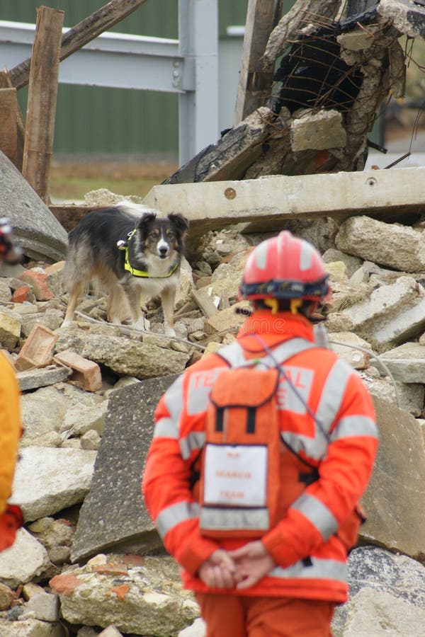 Search & Rescue Disaster Zone Editorial Image - Image of help ...