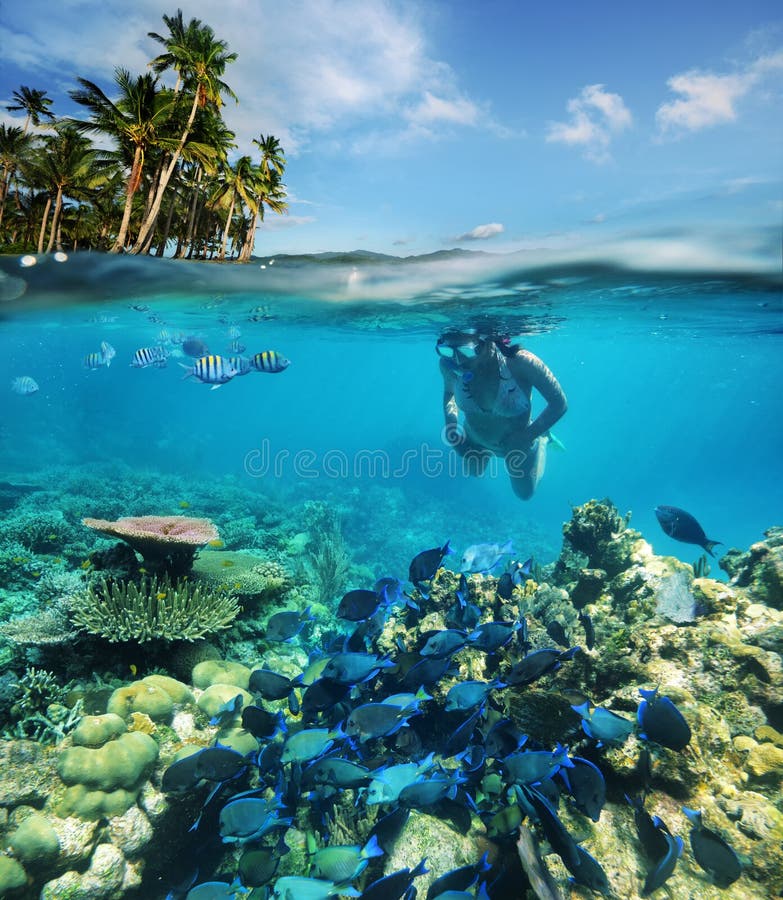 In Search of Underwater Adventure 2 Stock Image - Image of diving, palm ...