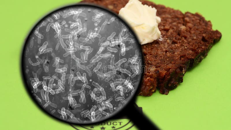 Searching for Bacteria in Bread Stock Image - Image of slide, flagellum ...