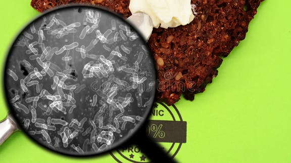 Searching for Bacteria in Bread Stock Image - Image of infection ...