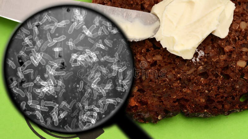Searching for Bacteria in Bread Stock Image - Image of bacteria, cicada ...