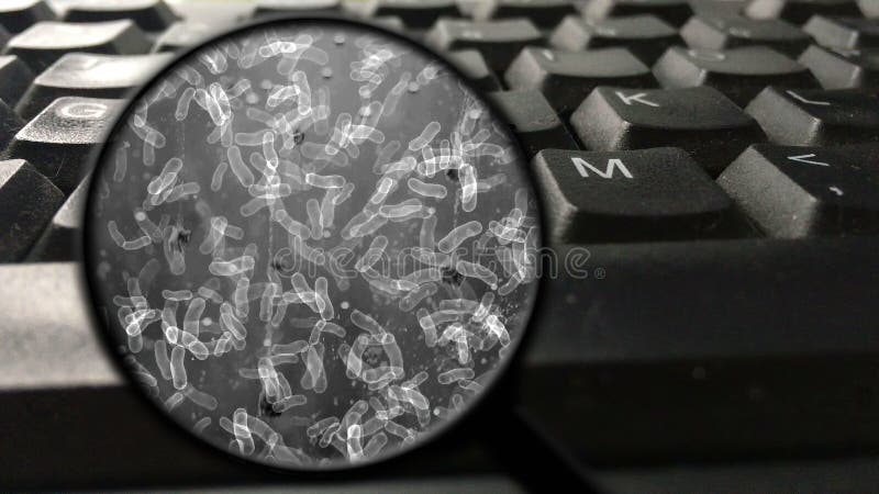 Searching for Bacteria on Computer Keyboard Stock Image - Image of ...