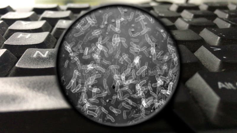 Bacteria on Computer Keyboard Icon Animation Stock Video - Video of ...