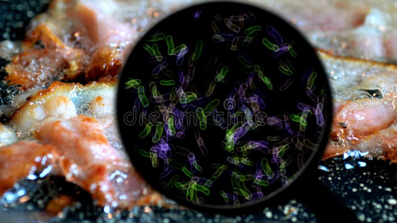 Searching for Bacteria in Meat Stock Image - Image of additives, beef ...