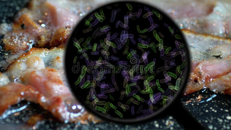 Searching for Bacteria in Raw Meat Stock Video - Video of microbe ...