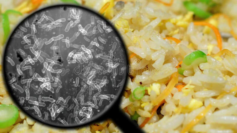 335 Rice Bacteria Stock Photos - Free & Royalty-Free Stock Photos from ...