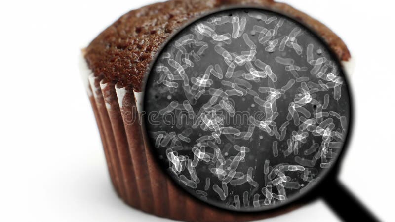 299 Bacteria Cake Stock Photos - Free & Royalty-Free Stock Photos from ...