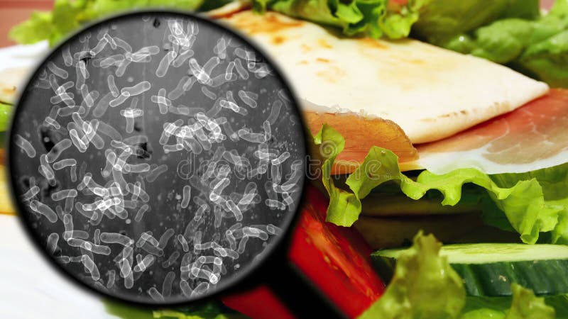 Searching for Bacteria in Vegetables Stock Image - Image of infection ...