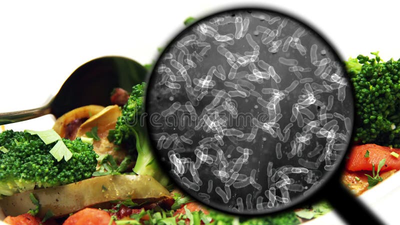 Searching for Bacteria in Vegetables Stock Photo - Image of macro ...