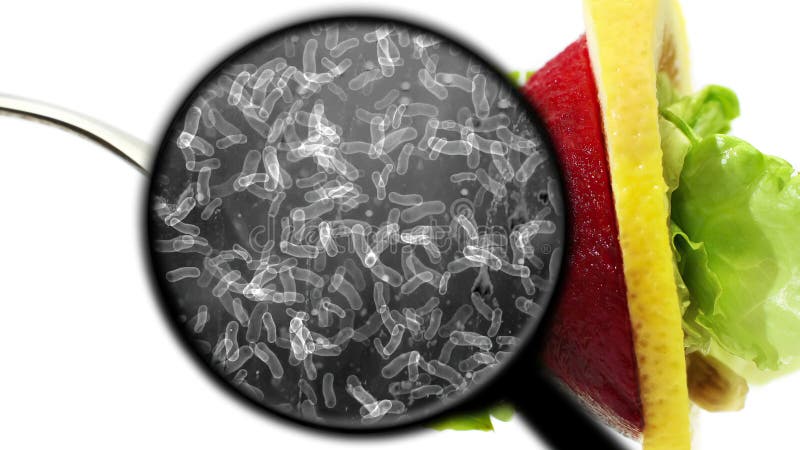 Searching for Bacteria in Vegetables Stock Image - Image of human ...