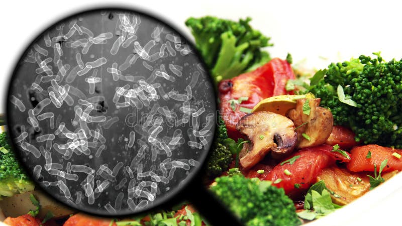 Searching for Bacteria in Vegetables Stock Image - Image of parsley ...