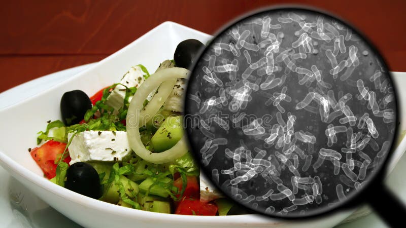 Searching for Bacteria in Vegetables Stock Image - Image of ...