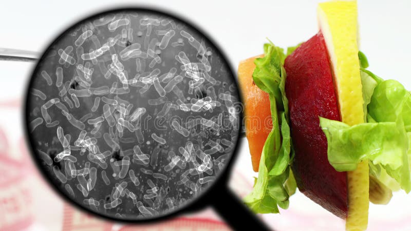 Searching for Bacteria in Vegetables Stock Image - Image of medical ...
