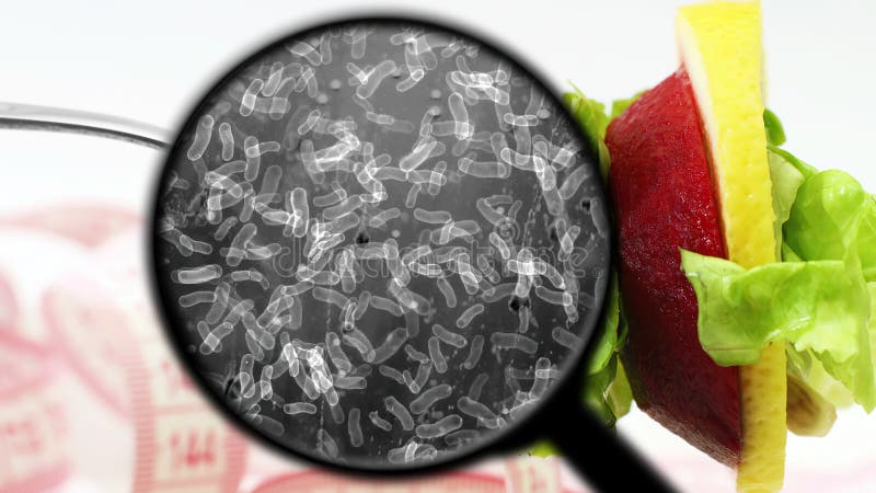 Searching for Bacteria in Vegetables Stock Photo - Image of medical ...