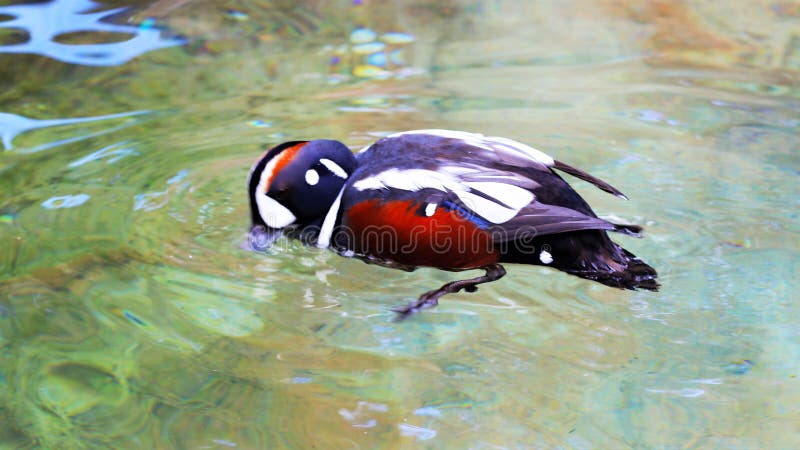 Searching stock image. Image of abstract, explore, spots - 61478461